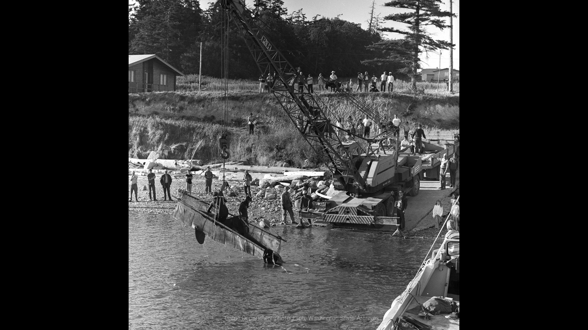 A timeline of the fight to bring Tokitae back to Washington | king5.com