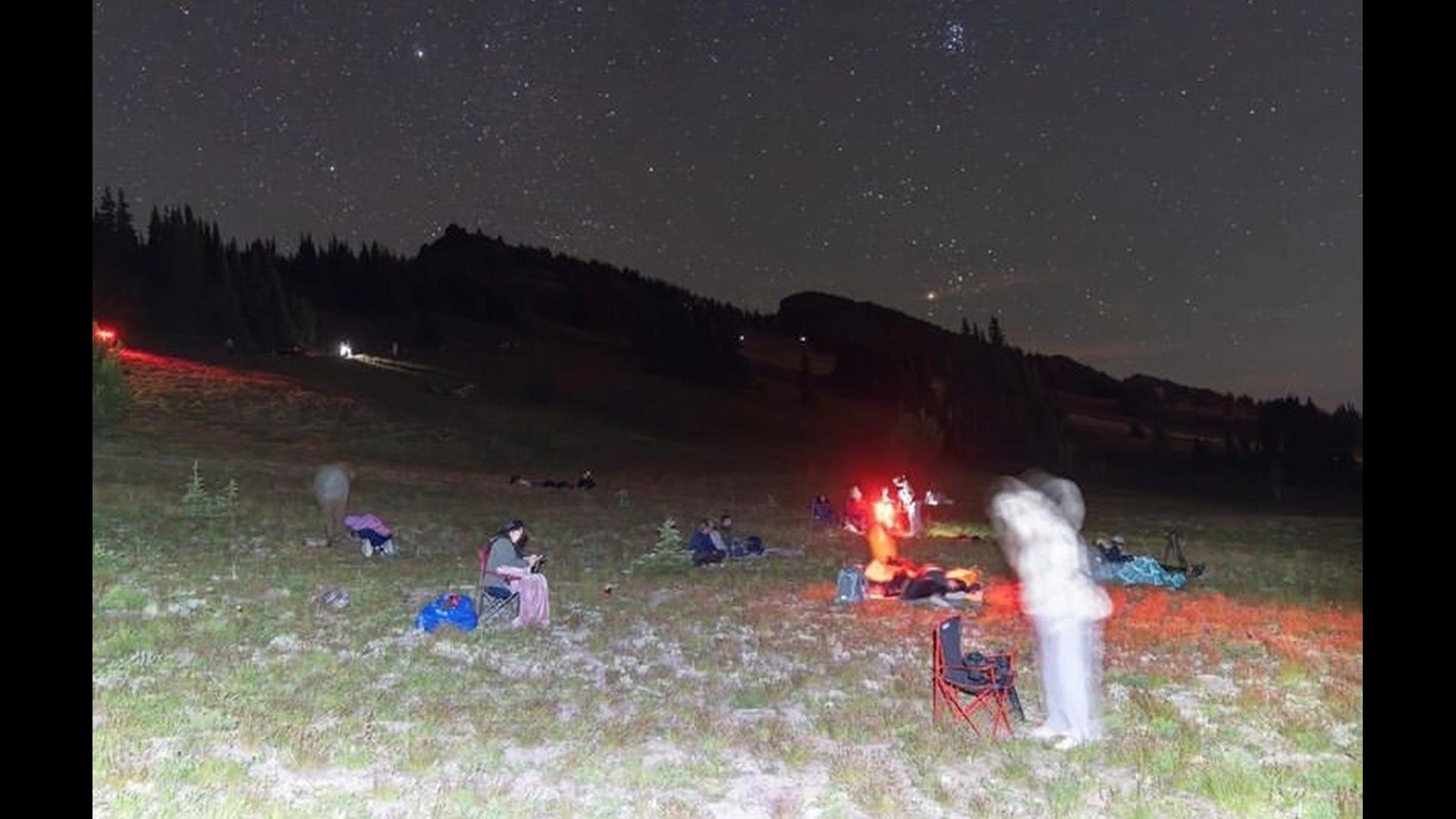 Mount Rainier National Park reviewing reports of damaged meadows ...