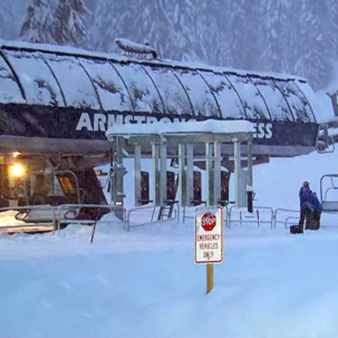 ZooTunes announces 2025 summer concert lineup, dates | king5.com