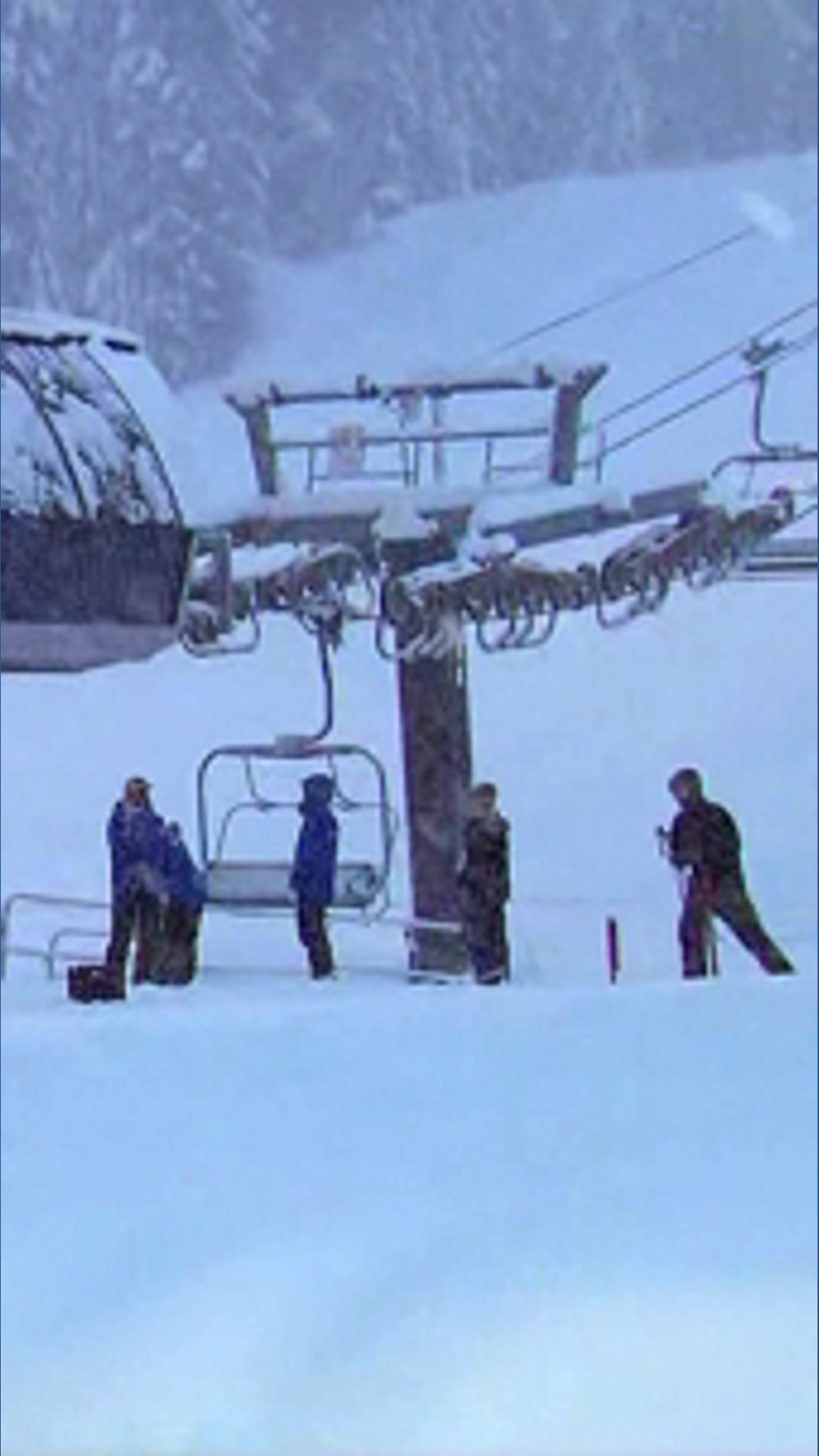 ZooTunes announces 2025 summer concert lineup, dates | king5.com