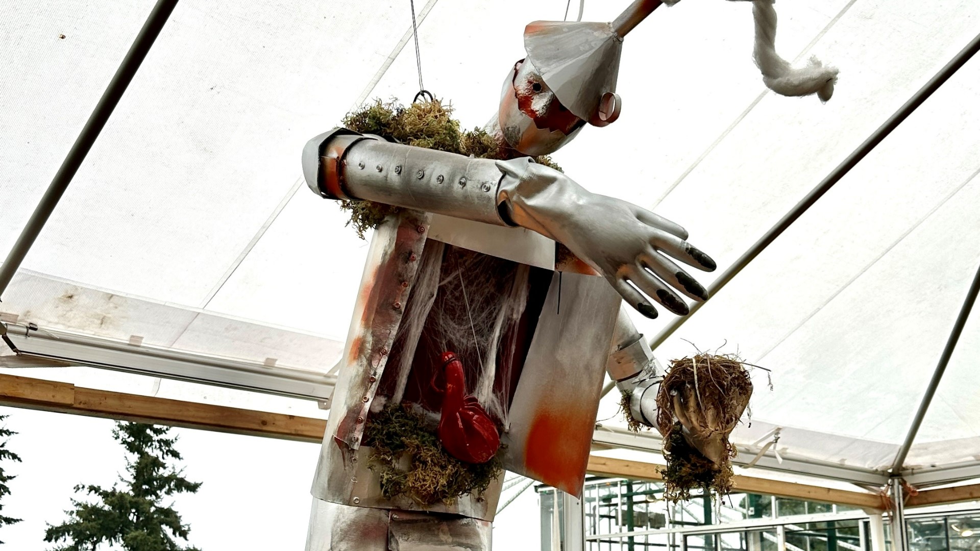 Seattle nursery celebrates Halloween with scarecrow contest | king5.com