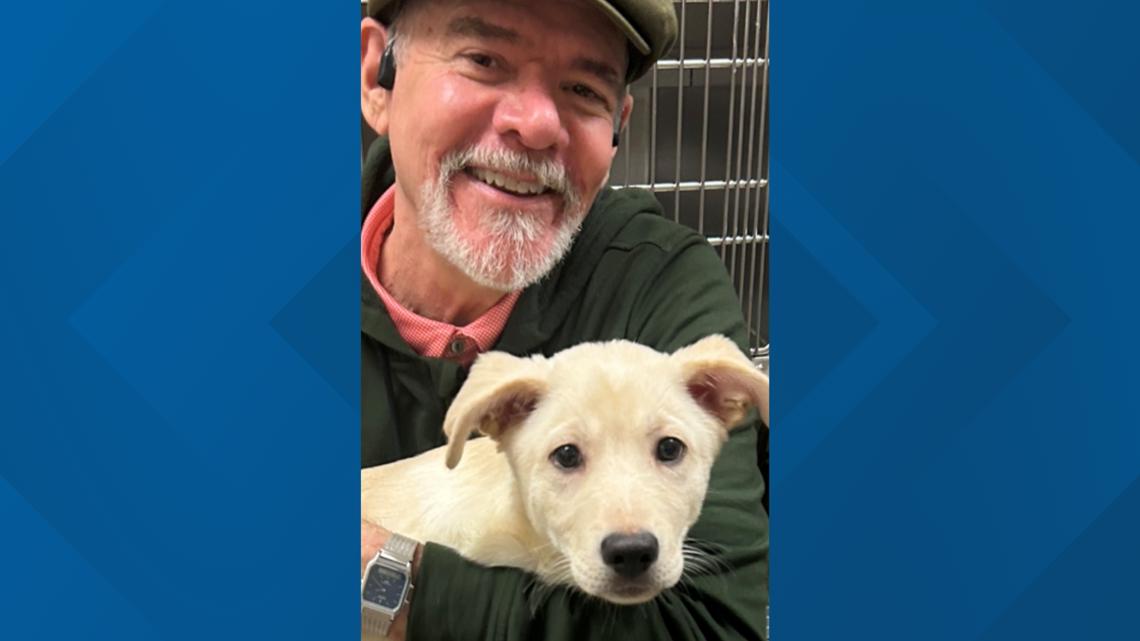 Parella Lewis | king5.com