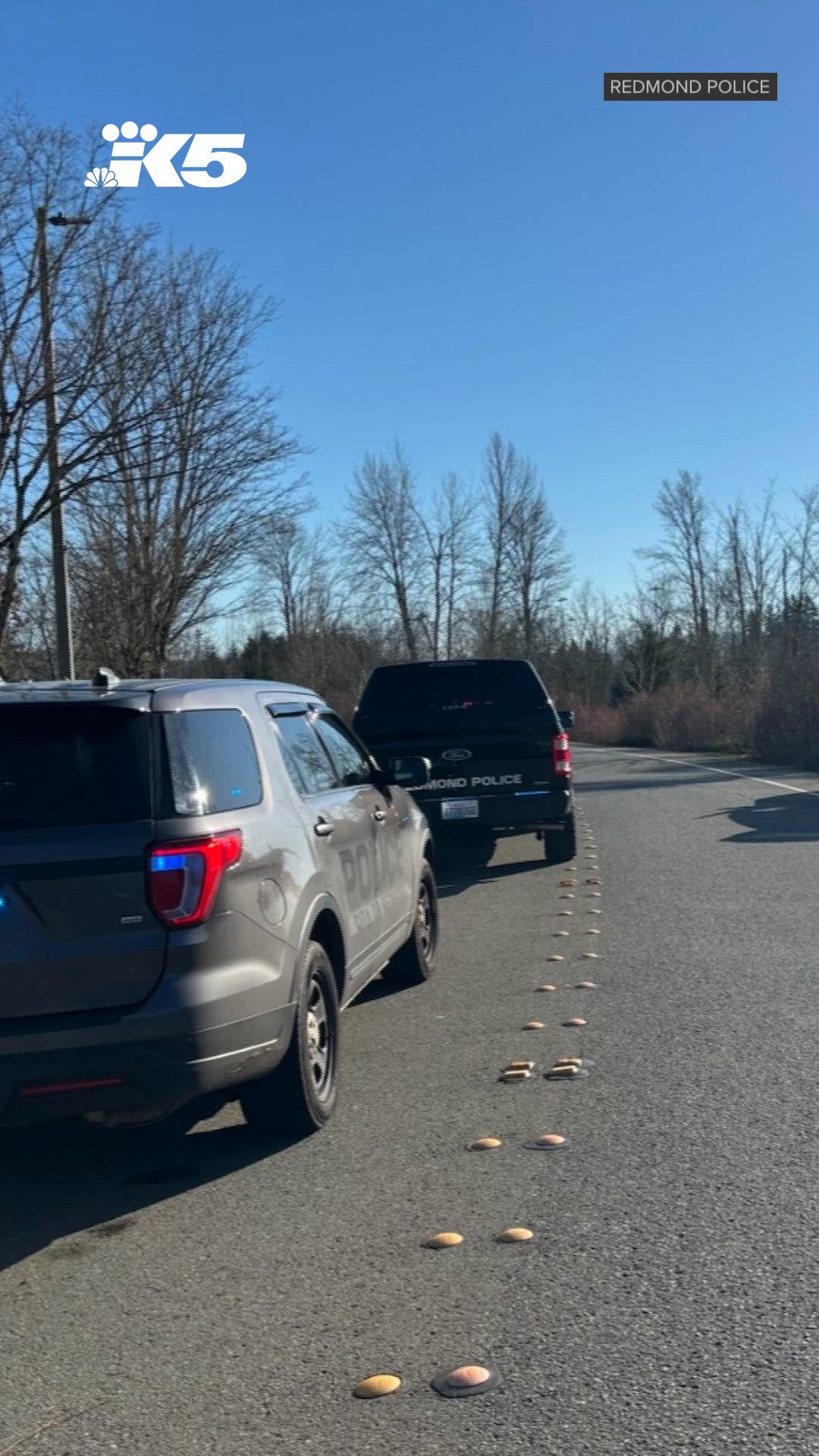 Redmond police searching for a suspect in Saturday morning stabbing ...