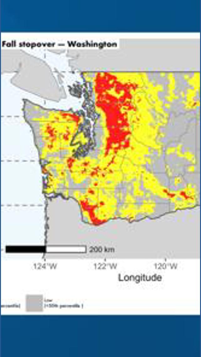 Millions of birds migrate across Washington this weekend | king5.com