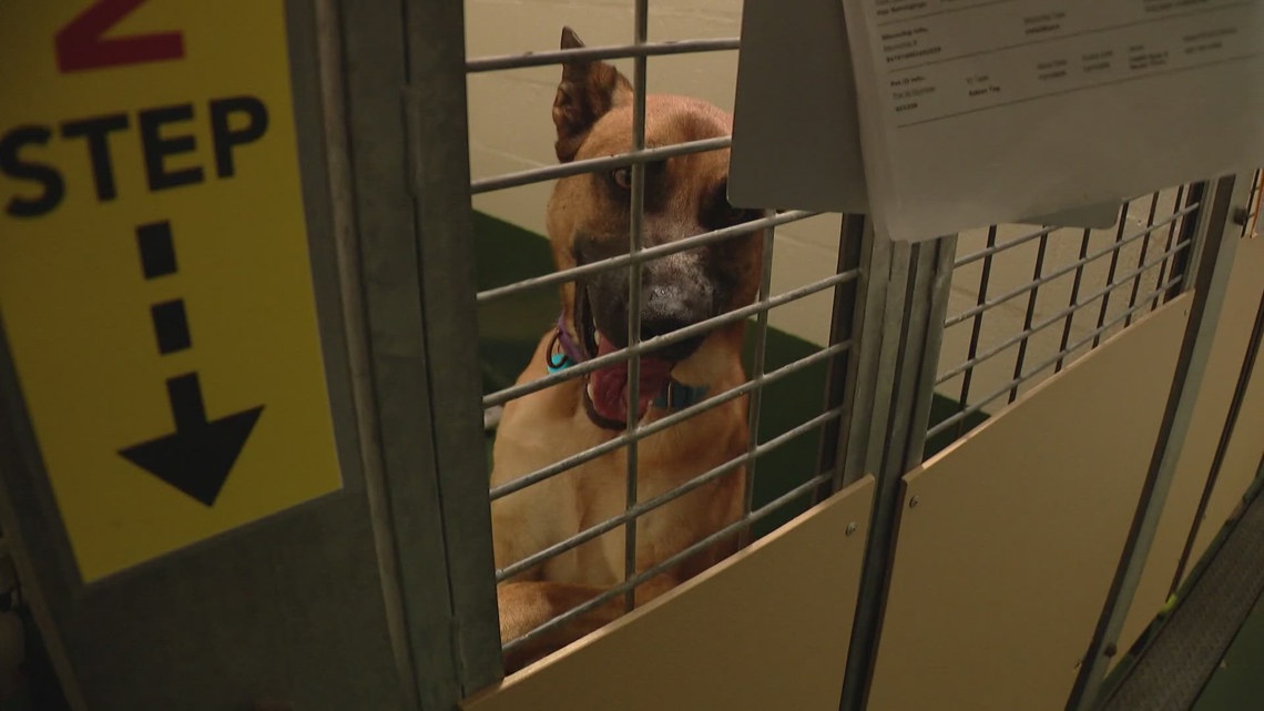 Three restaurants that make Bow-Edison a dining destination | king5.com