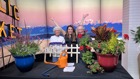 Amity Addrisi is leaving KING 5 | king5.com
