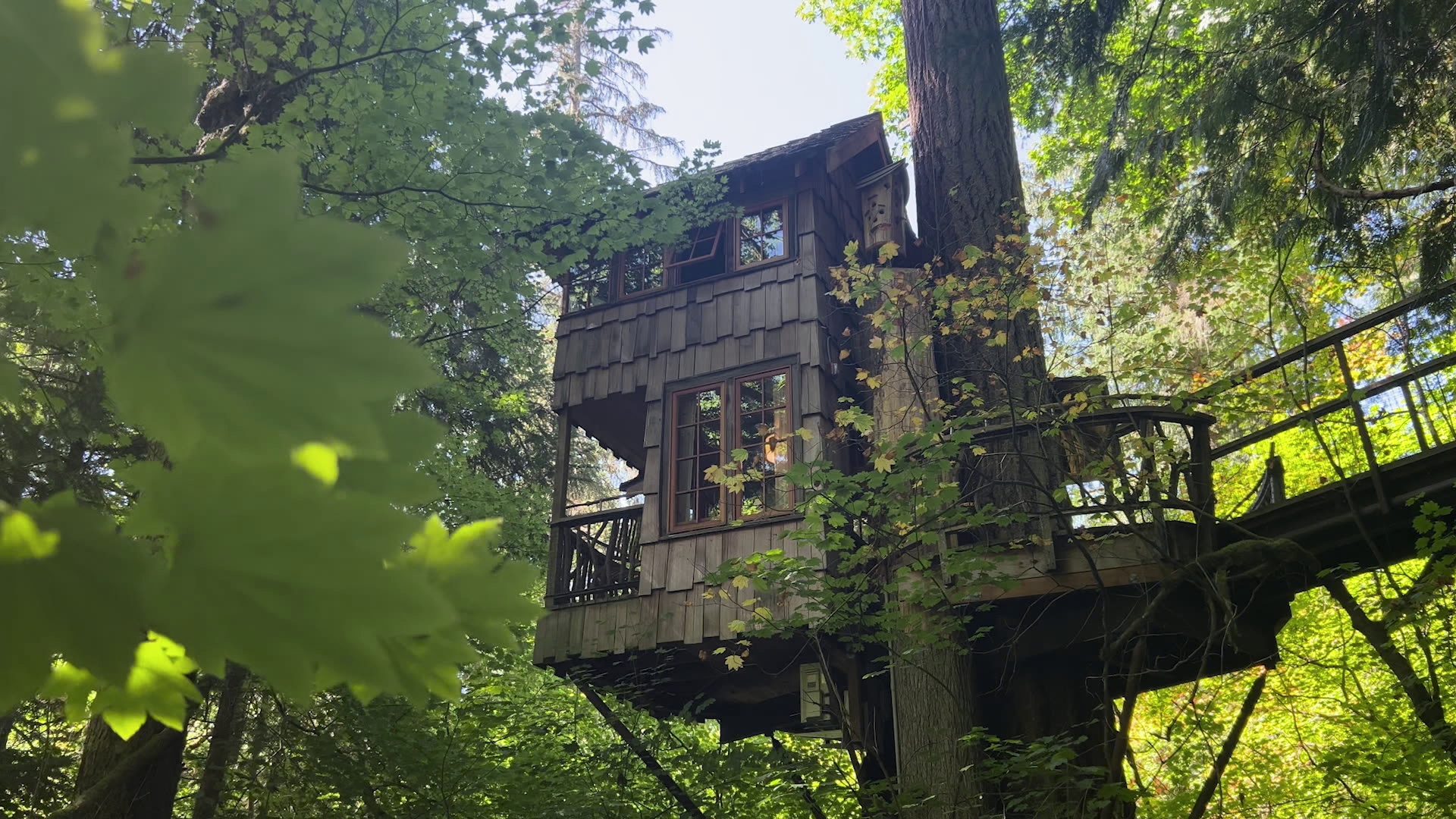 This Fall City TreeHouse escape has roots in the community | king5.com