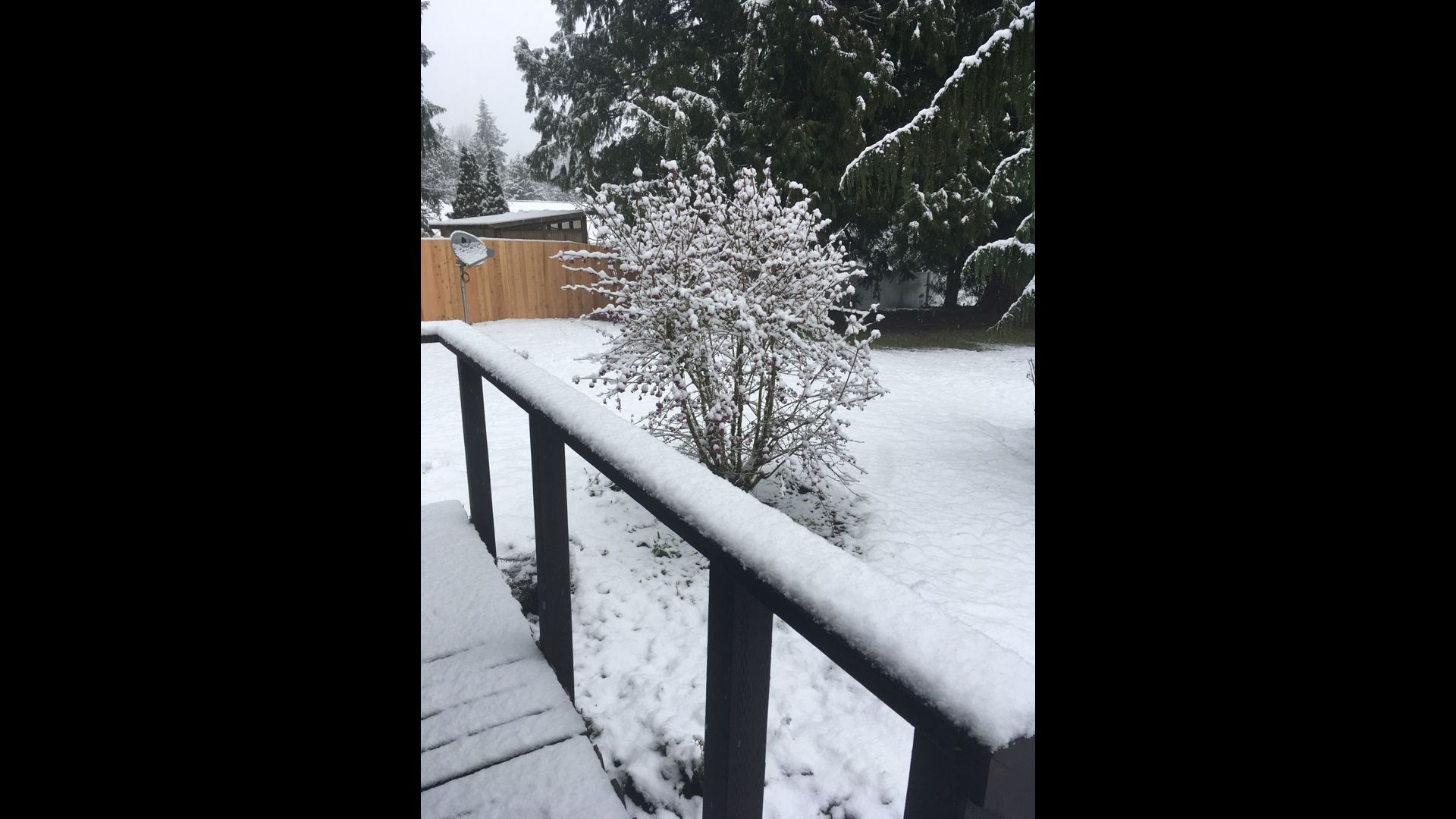 Near Me | Photos and Videos | king5.com