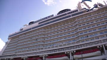 First ever sea lion pup born at Point Defiance Zoo & Aquarium | king5.com