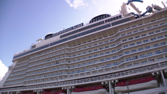 First ever sea lion pup born at Point Defiance Zoo & Aquarium | king5.com