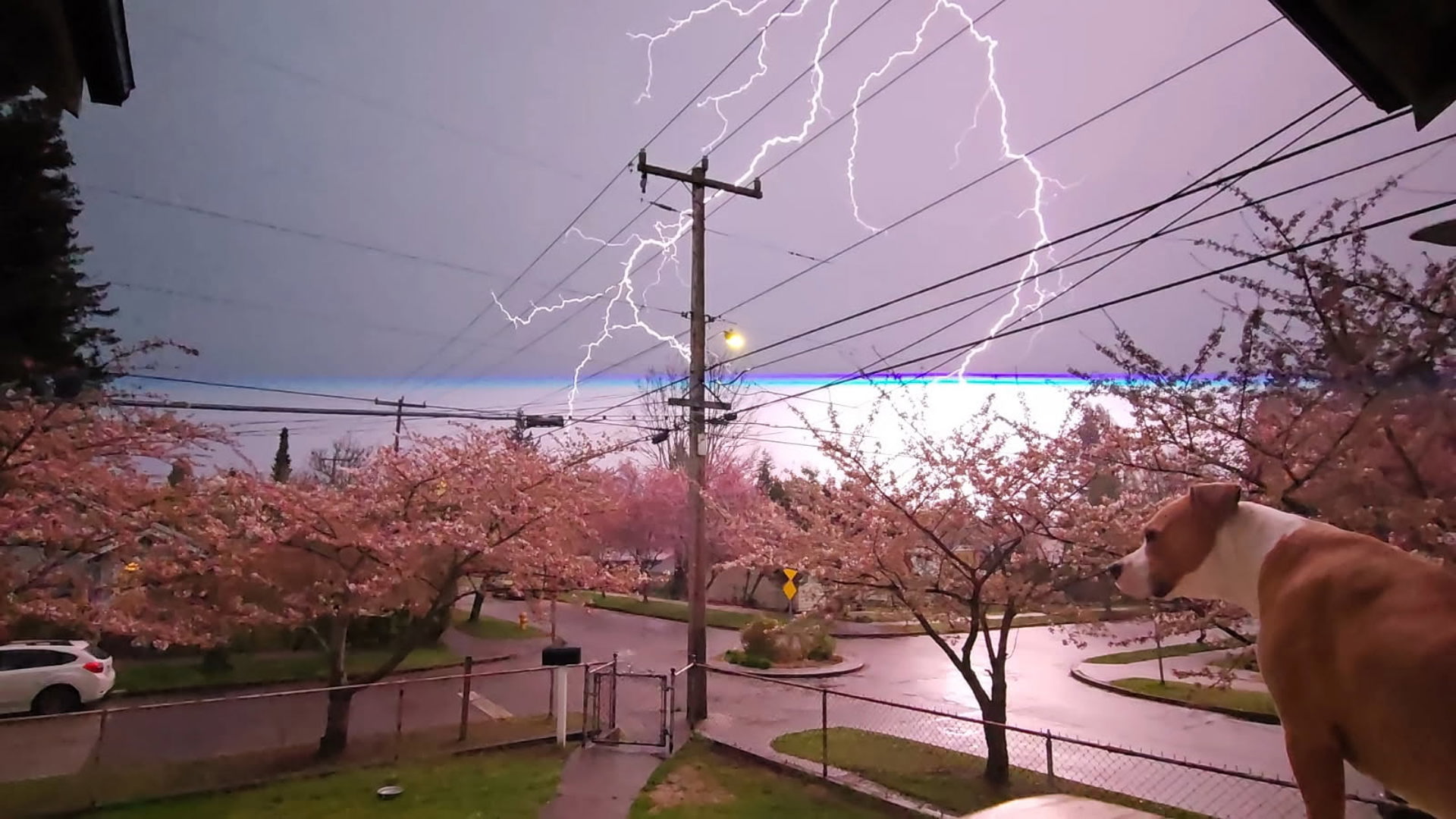 Severe Thunderstorm Watch issued: Thunderstorms in western Washington ...