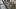 UW enrollment grows across all 3 campuses; Washington residents ...