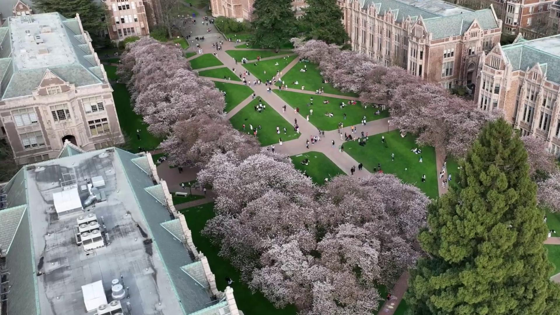 UW enrollment grows across all 3 campuses; Washington residents ...