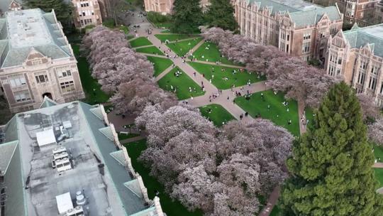 UW enrollment grows across all 3 campuses; Washington residents ...