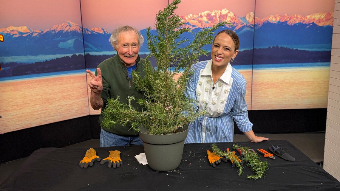 Care and feeding tips for your rosemary plant - New Day NW | king5.com