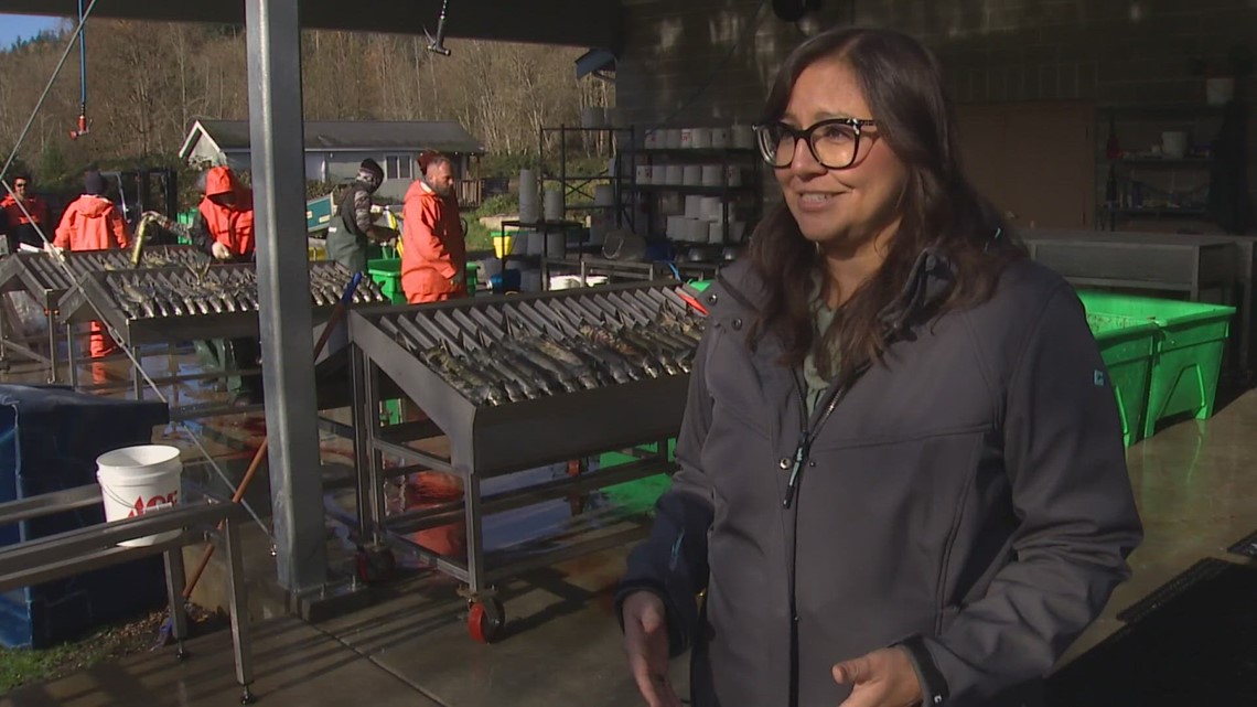 Partnership provides Muckelshoot Tribe salmon to school kids | king5.com