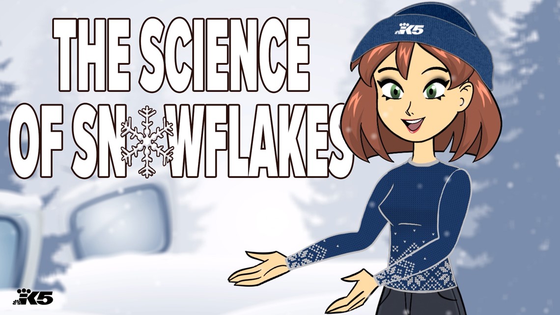 Here's how snowflakes are made | king5.com