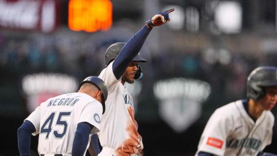 First ever sea lion pup born at Point Defiance Zoo & Aquarium | king5.com