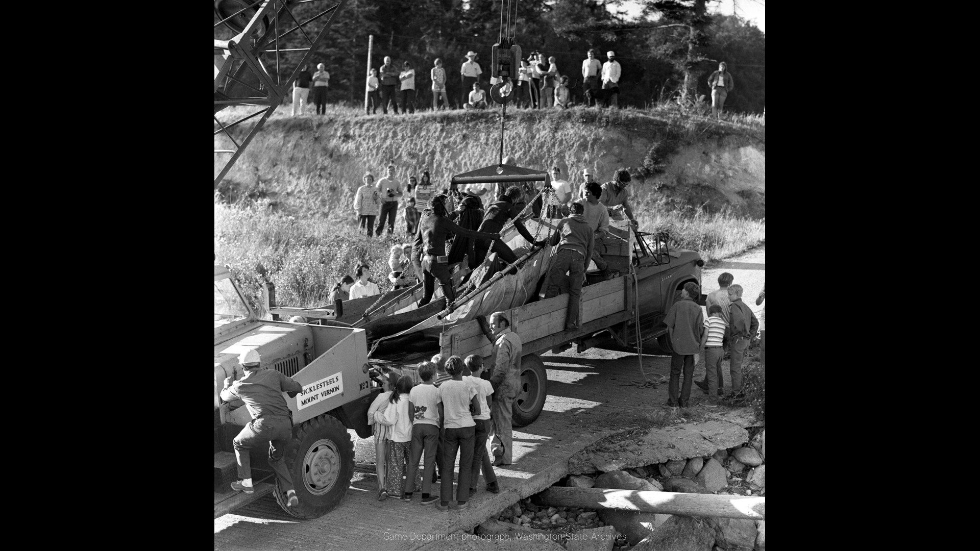 A timeline of Tokitae's life from capture in Washington to death ...