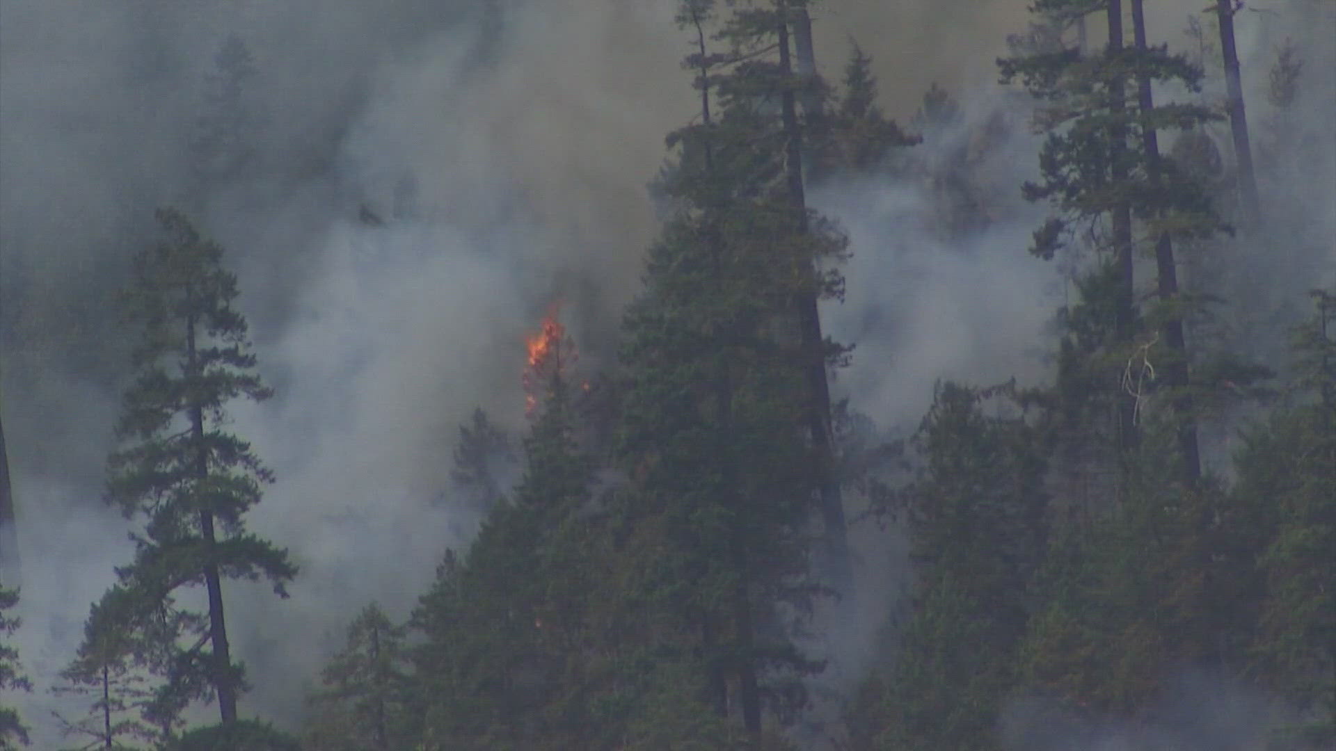 Northwest Wildfires | Seattle, Washington | king5.com
