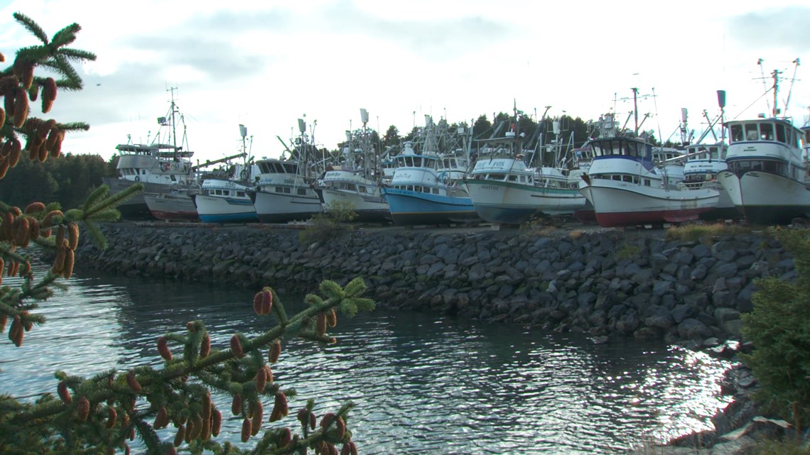 How 10 billion snow crab vanished from Alaskan waters and what it means for the seafood industry ...