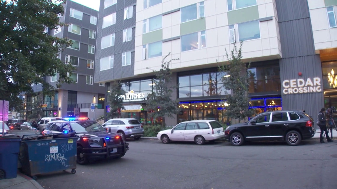 Seattle mother accused of 'sacrificing' her child could face murder ...