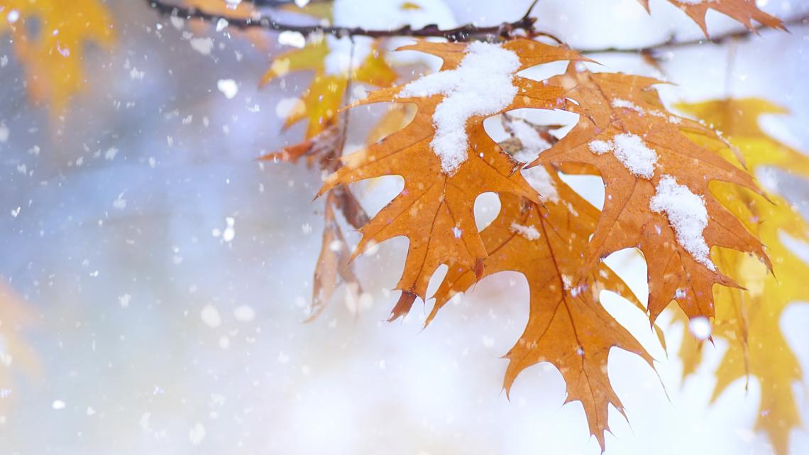 Seattle eyes NBA team as Thunder wins first championship | king5.com
