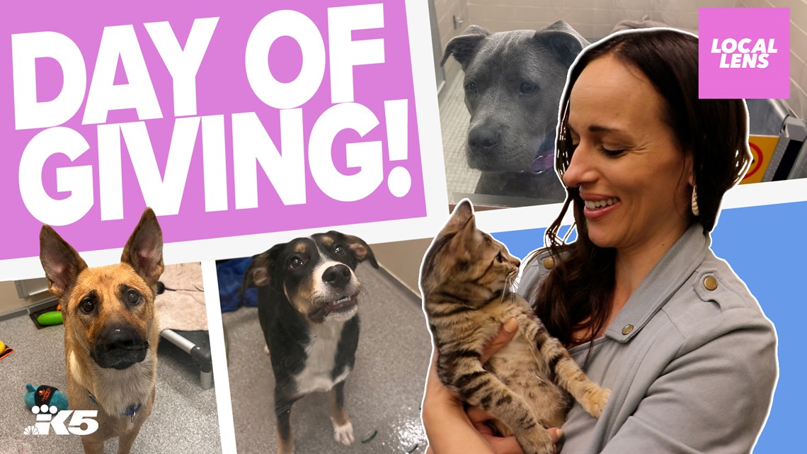 Spread the love with Seattle Humane’s 'Day of Giving!' | Local Lens ...