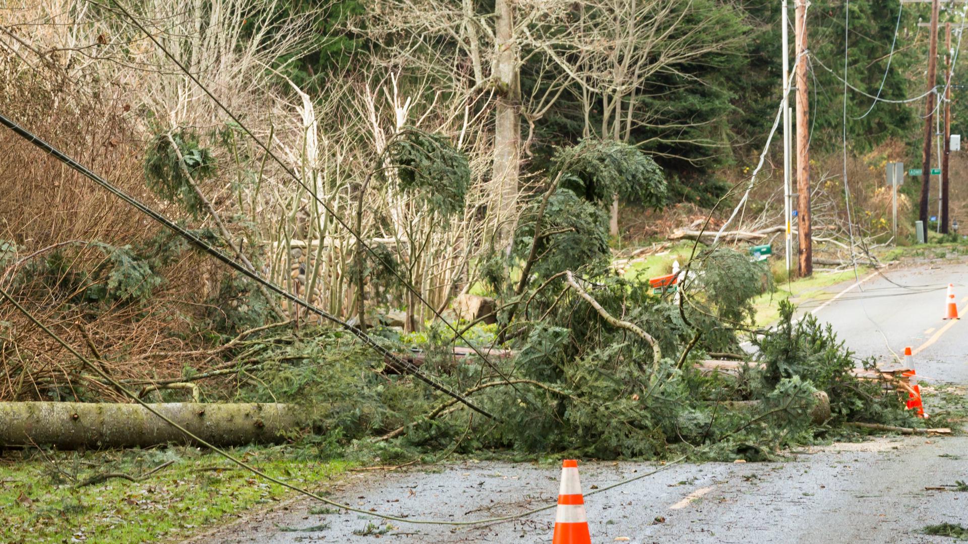 LIVE: Wind Advisory to take effect in western Washington | king5.com