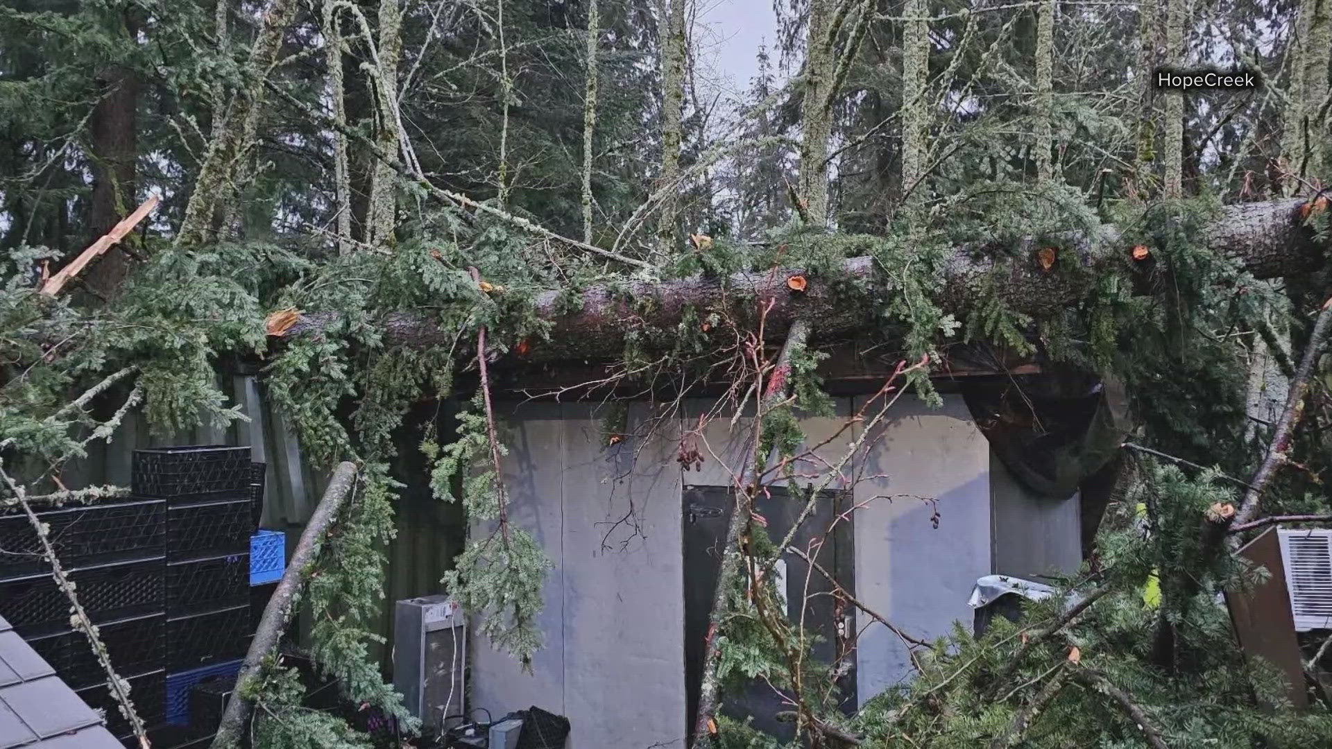 Kelly Hanson named new host of New Day Northwest | king5.com