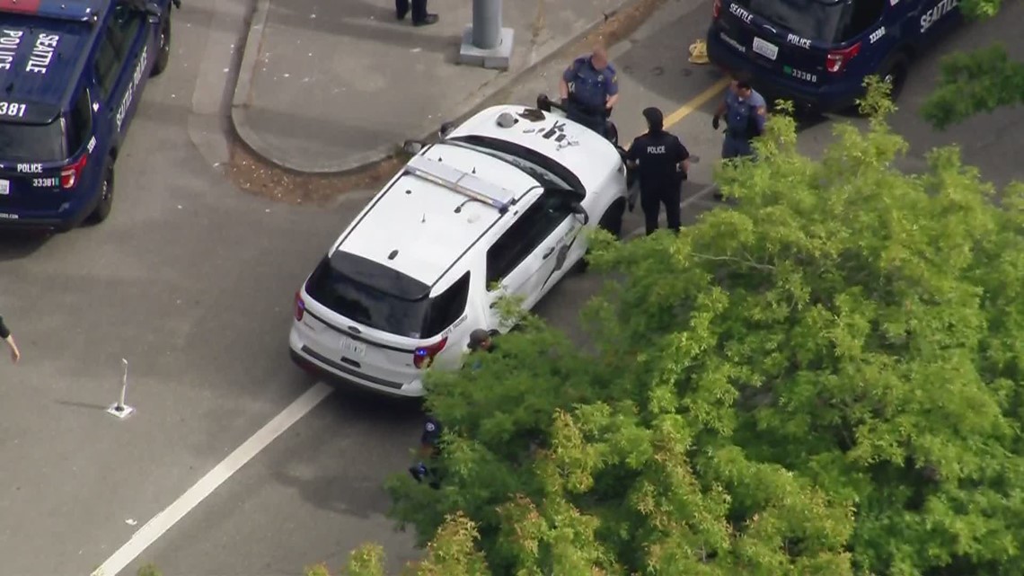Rock-throwing suspect arrested after damaging 3 vehicles | king5.com