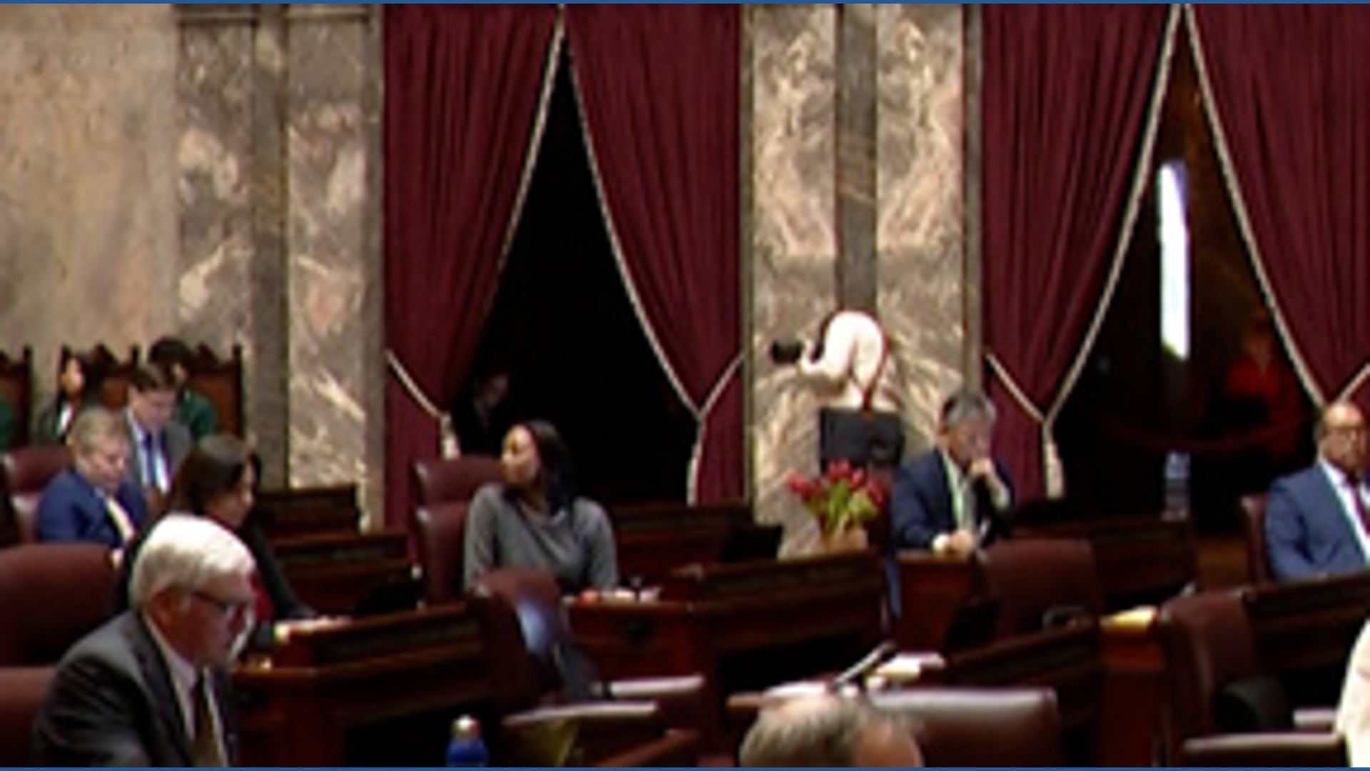 Police Face Coverings Bill Vote | king5.com