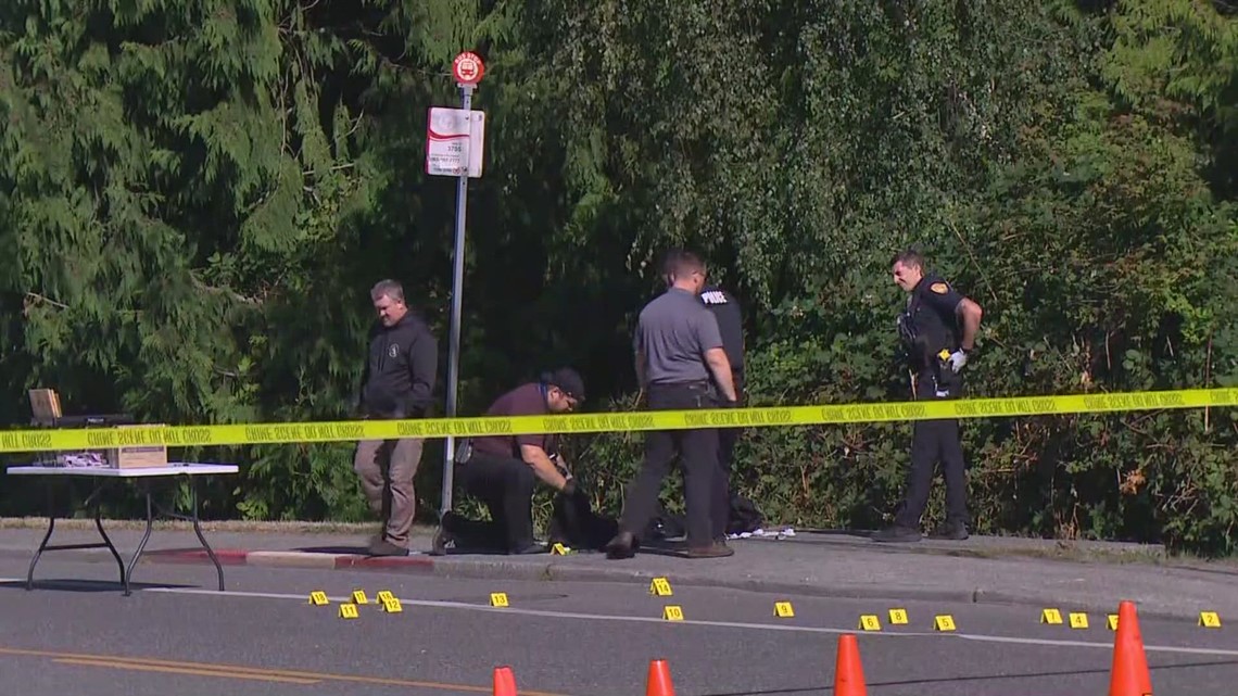 2 suspects accused of murdering teen at Everett bus stop in court ...