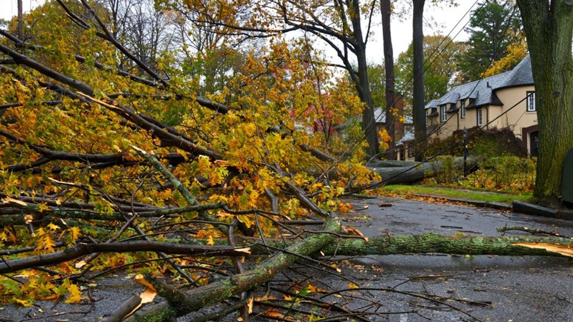 Winds begin to ease after strong gusts in western Washington | king5.com