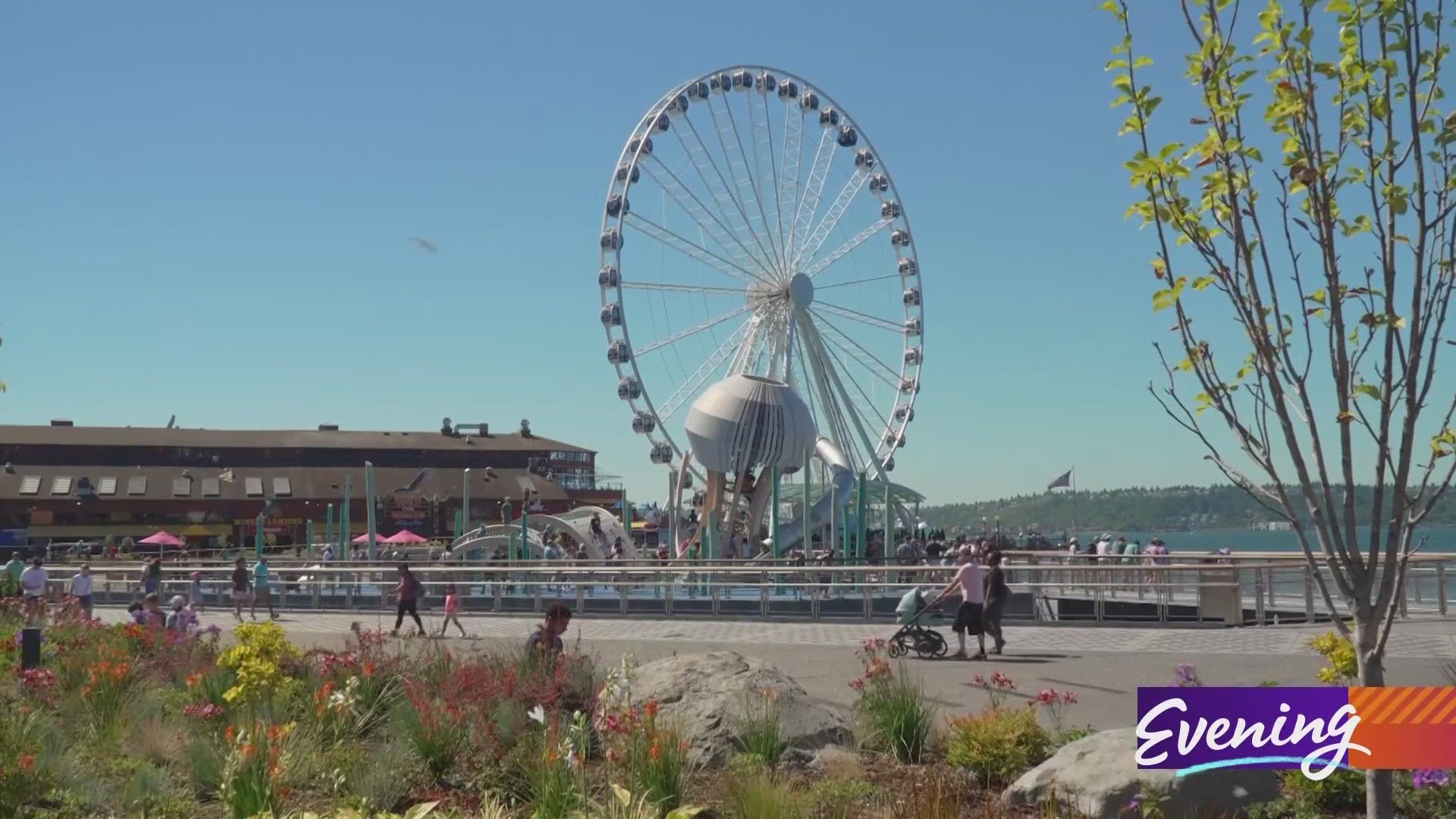 New book explores Seattle waterfront's rich history | king5.com