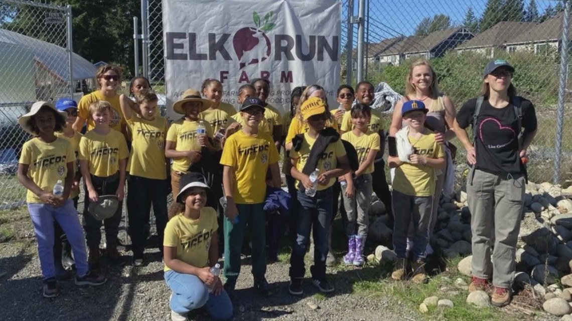 Leah Pezzetti | king5.com