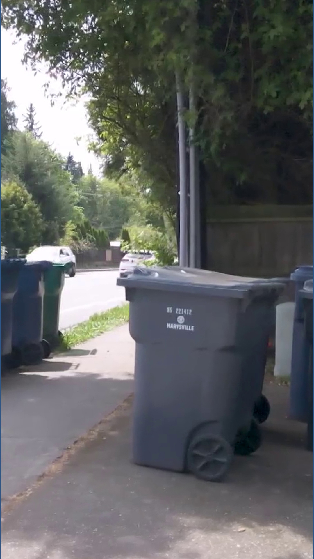 Woman found dead in Marysville yard waste bin identified | king5.com