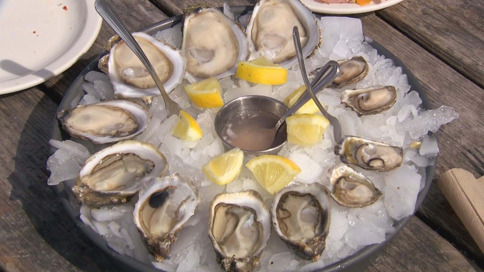 Taylor Shellfish is an Oyster Oasis right off Chuckanut Drive | king5.com