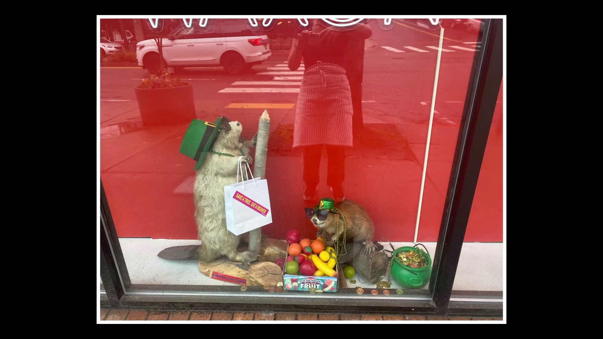 Thief steals beloved beaver mascots from Capitol Hill spa | king5.com