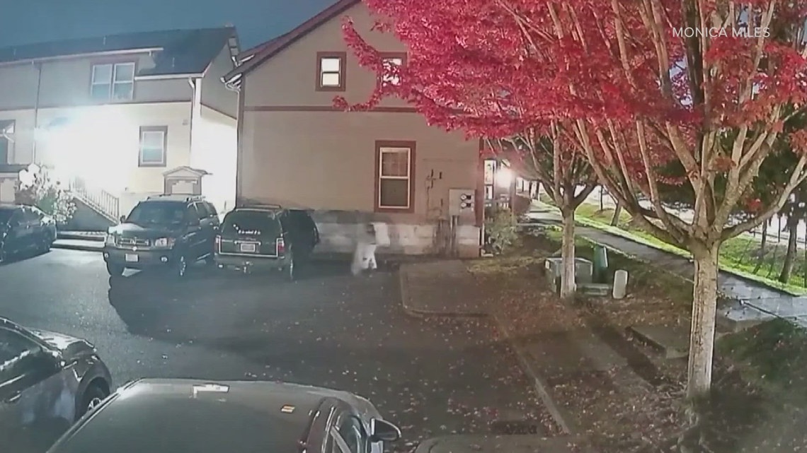 Burglars ransack woman's home in Tacoma | king5.com