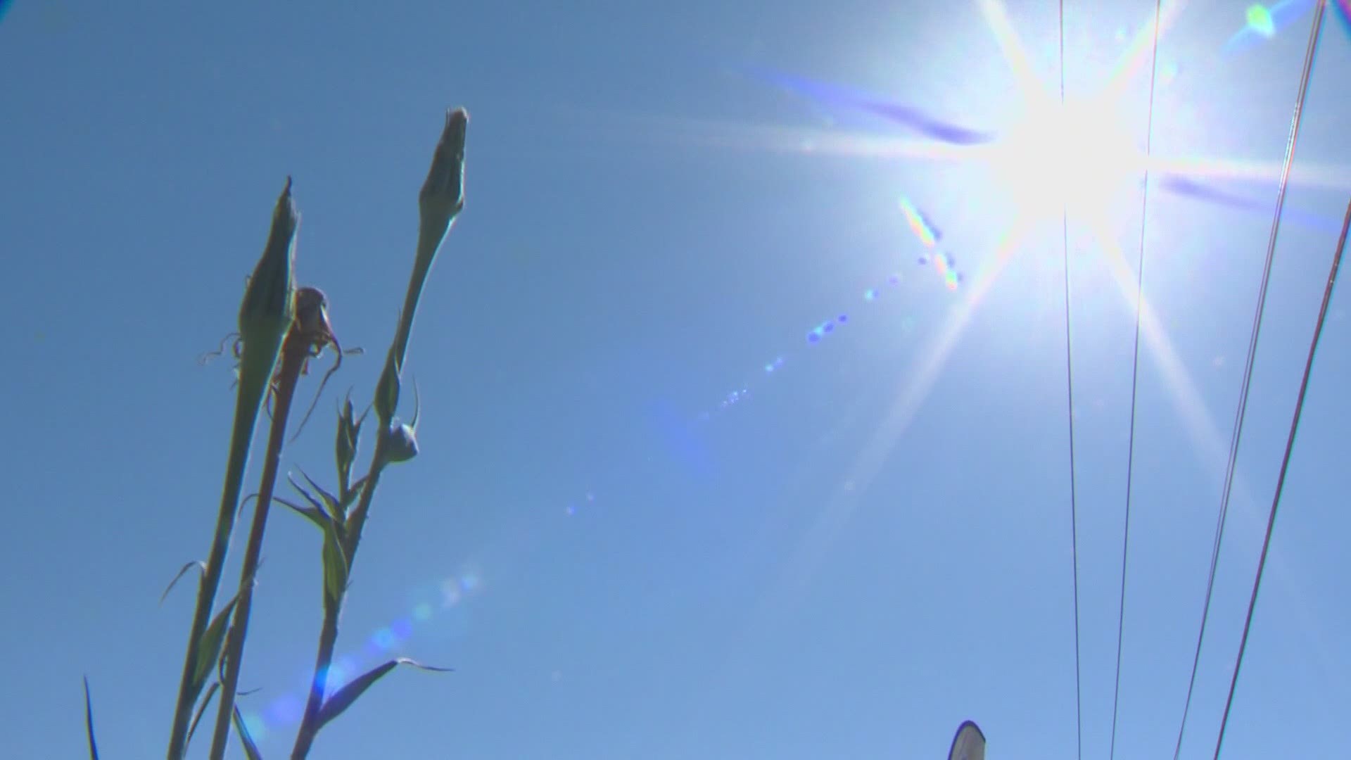 Pierce Transit offering free rides to cooling centers during heat wave ...