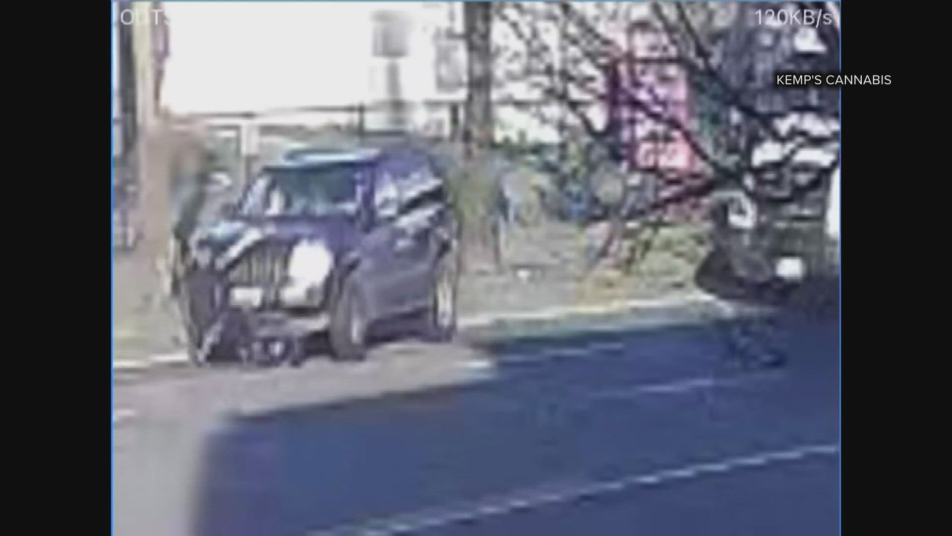 Canadian woman found dead on Australian beach in suspected dingo attack ...