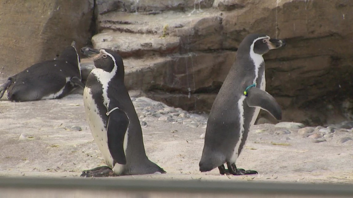Many exhibits in Washington remain closed due to bird flu concern ...