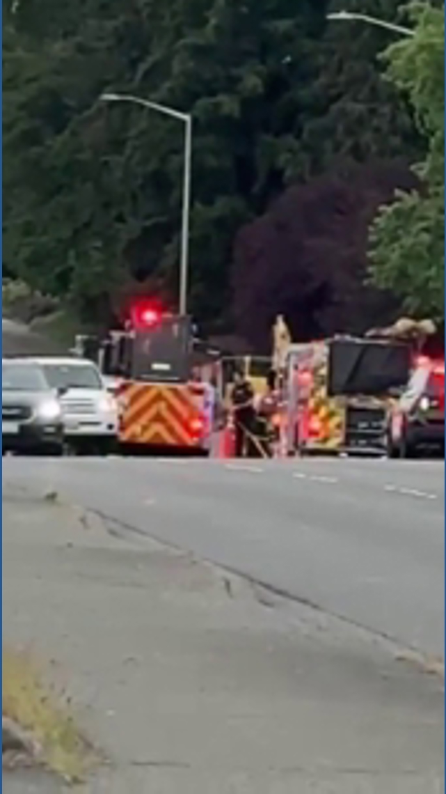 Motorcyclist killed in Kent collision | king5.com