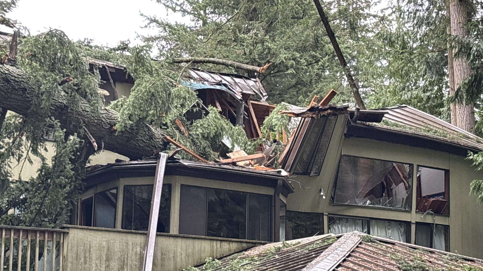 Closings and Delays | Seattle, Washington | king5.com