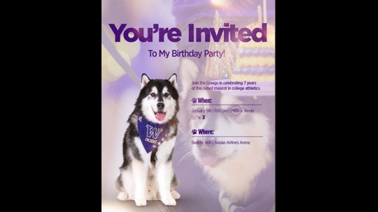 Happy Birthday Dubs!! UW mascot turns 7 years old | king5.com