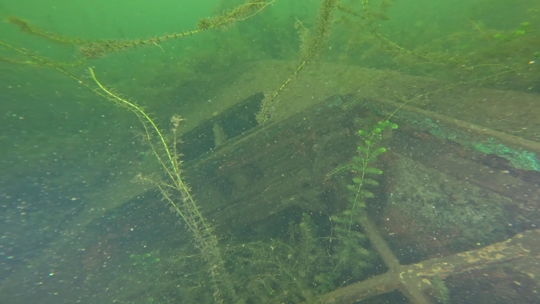 Hidden in plain sight: Robots reveal ‘shipwreck city’ beneath Lake ...