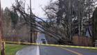 PHOTOS: Damage from bomb cyclone off Washington's coast | king5.com