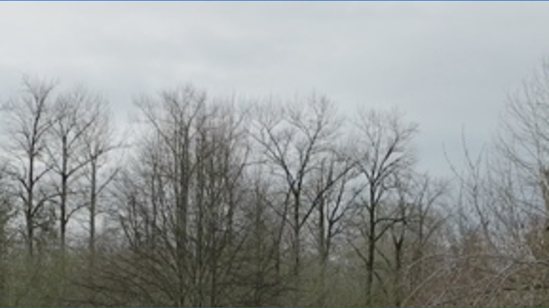 Drone footage of flooding at Skykomish River Park | king5.com