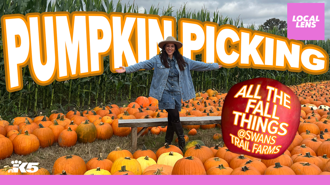 The ultimate fall day at Swans Trail Farms! | Local Lens Seattle ...